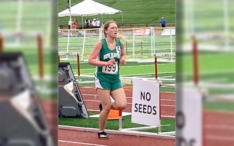 Shamrocks Head To State Track & Field Finals | New Haven Independent News